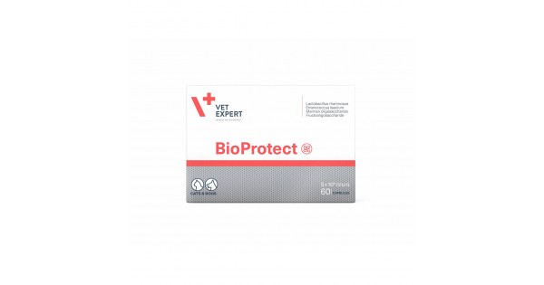 Bioprotect Caps για την Υποστήριξη της Μικροχλωρίδας του Πεπτικού ...